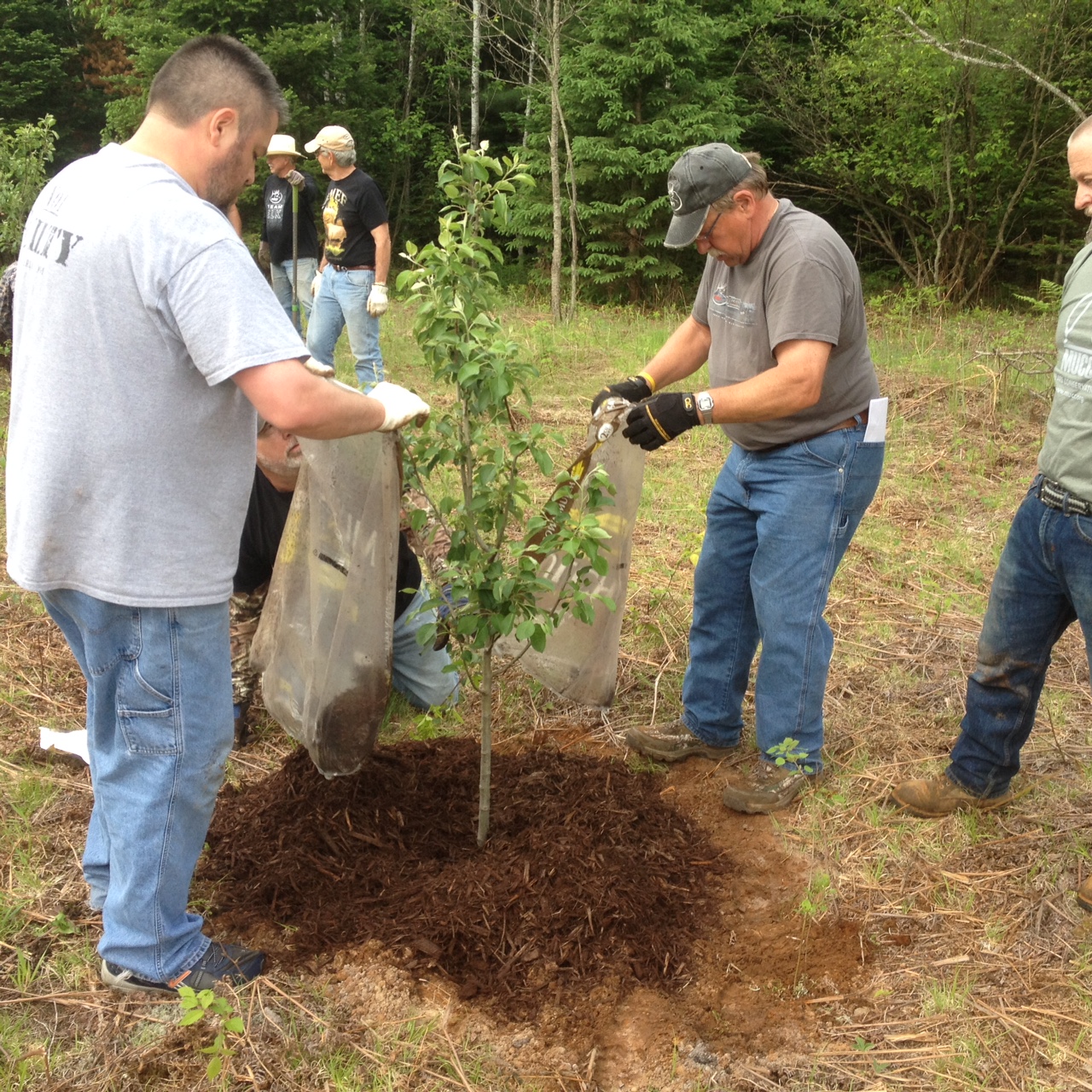 MUCC VOLUNTEERS WITH RMEF IN THE PIGEON RIVER COUNTRY - Michigan United ...