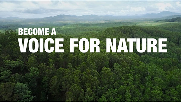 Next steps panel - NCC - Nature Conservation Council of NSW