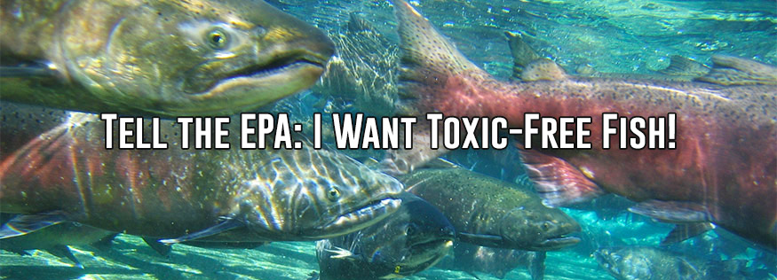 Tell the EPA You Want Toxic-Free Fish to Eat! - Northwest Center for ...