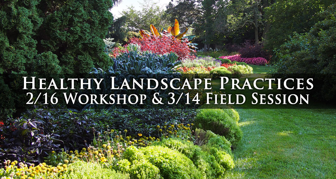 Healthy Landscape Principles and Practices - Northwest Center for ...
