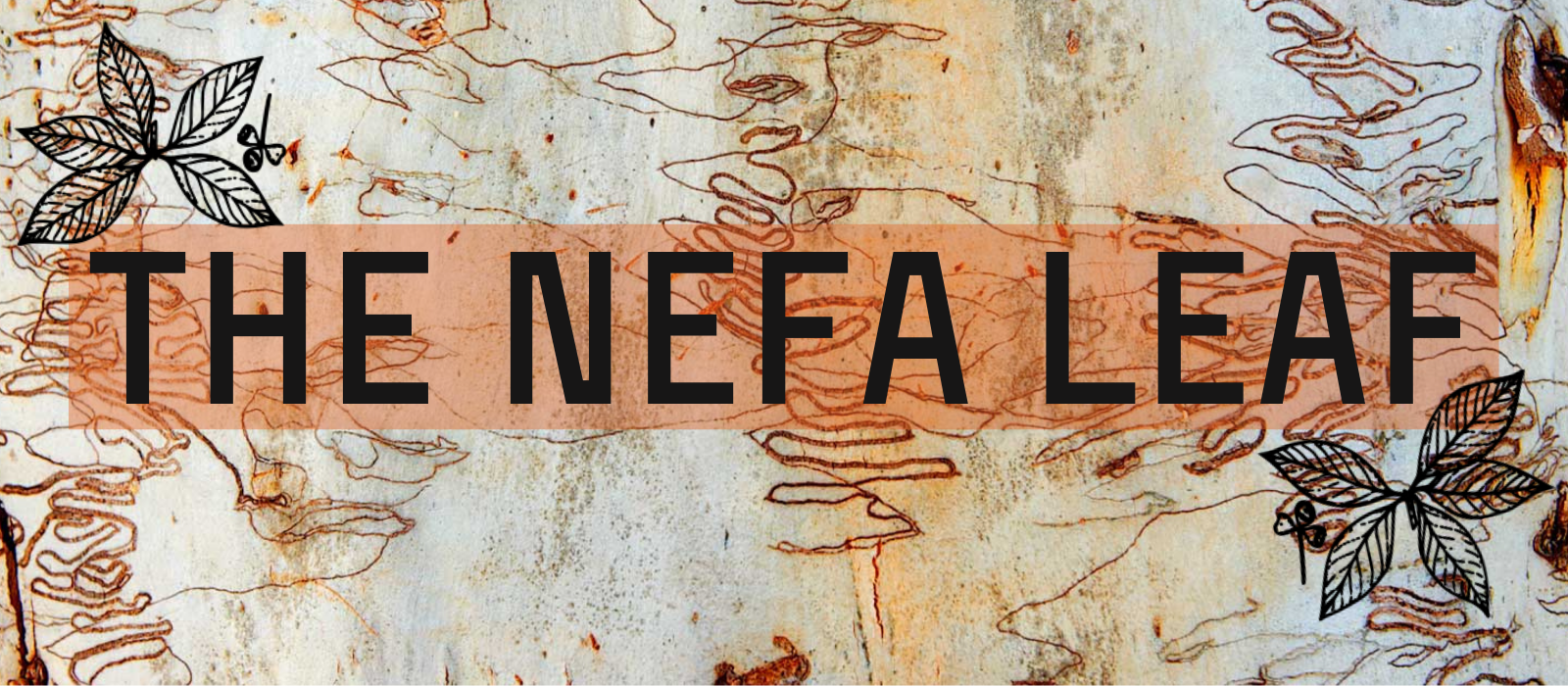 NEFA Leaf - May 2023 - North East Forest Alliance