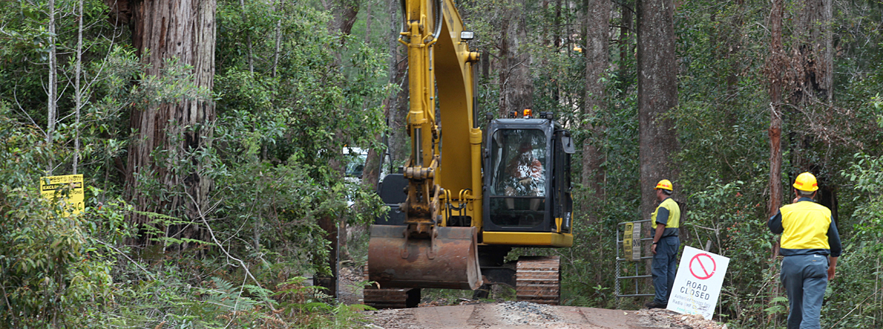 logging industry - North East Forest Alliance