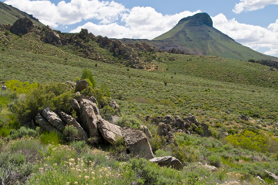 Disaster Peak Wilderness Study Area - Friends of Nevada Wilderness