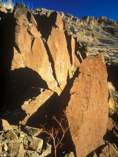 Gabbs Valley Range Wilderness Study Area - Friends of Nevada Wilderness