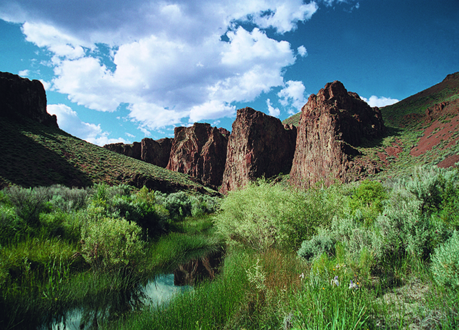 High Rock Route Restore - Friends of Nevada Wilderness