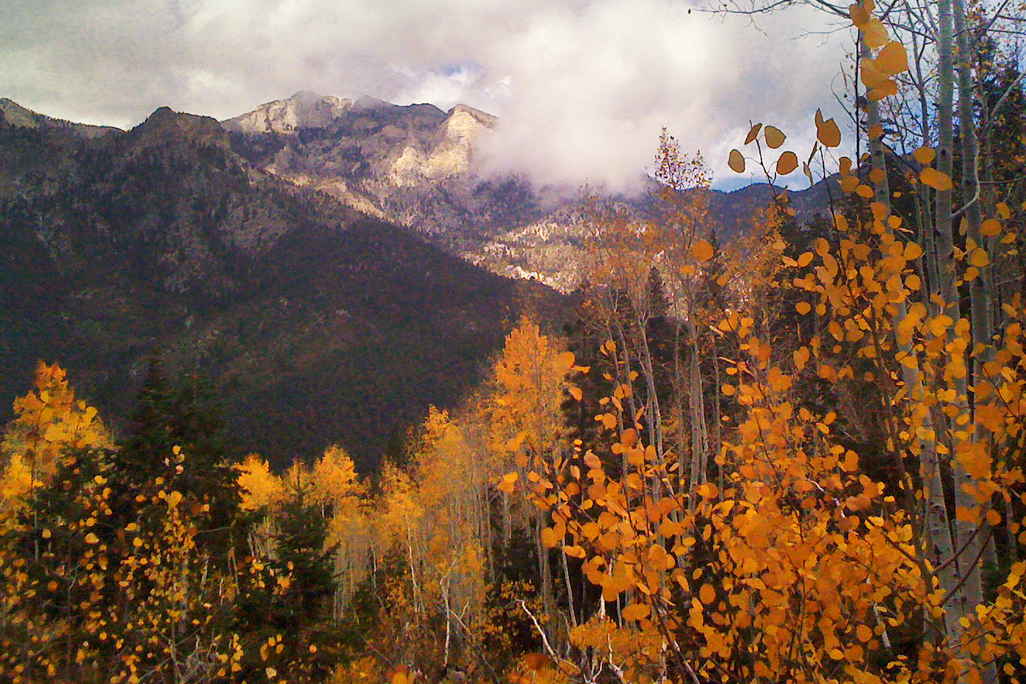 Heading Forward, Looking Back: A Timeline of Wilderness in Nevada ...