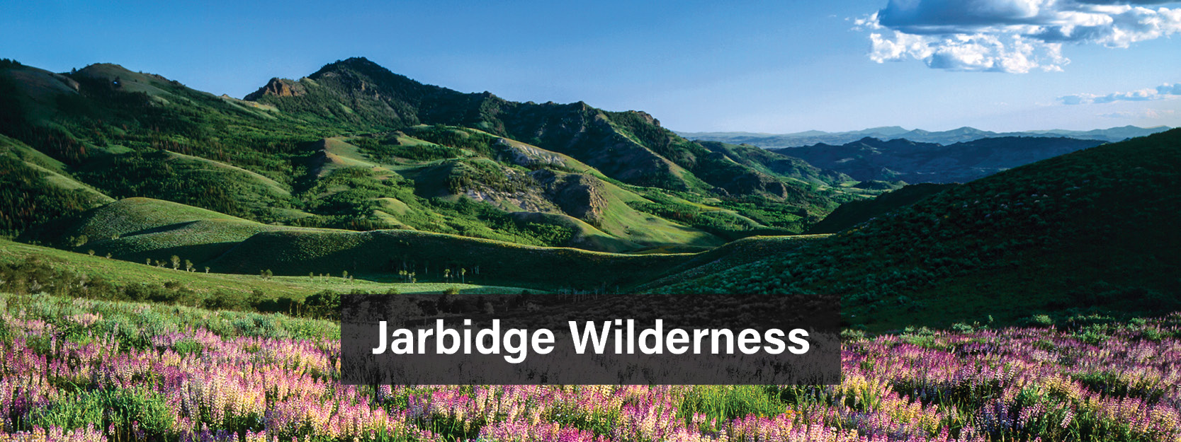 Jarbidge Wilderness Maps - Friends of Nevada Wilderness