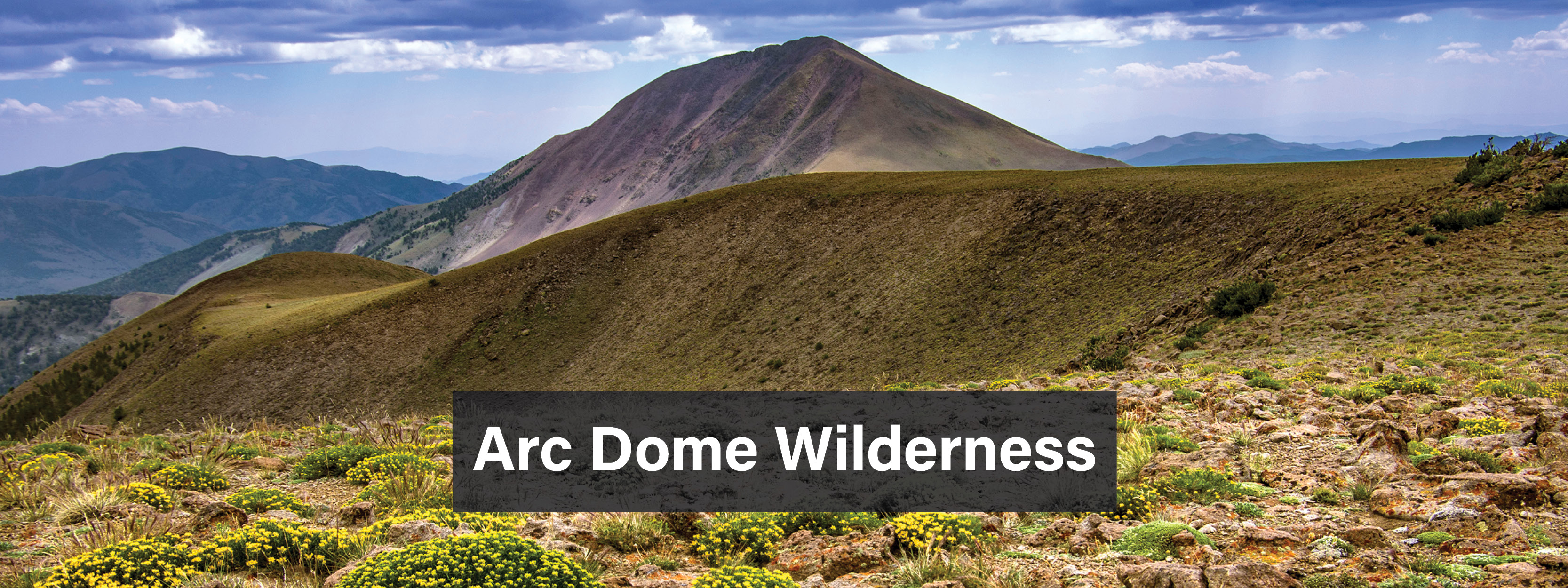 Arc Dome Wilderness Summary - Friends of Nevada Wilderness