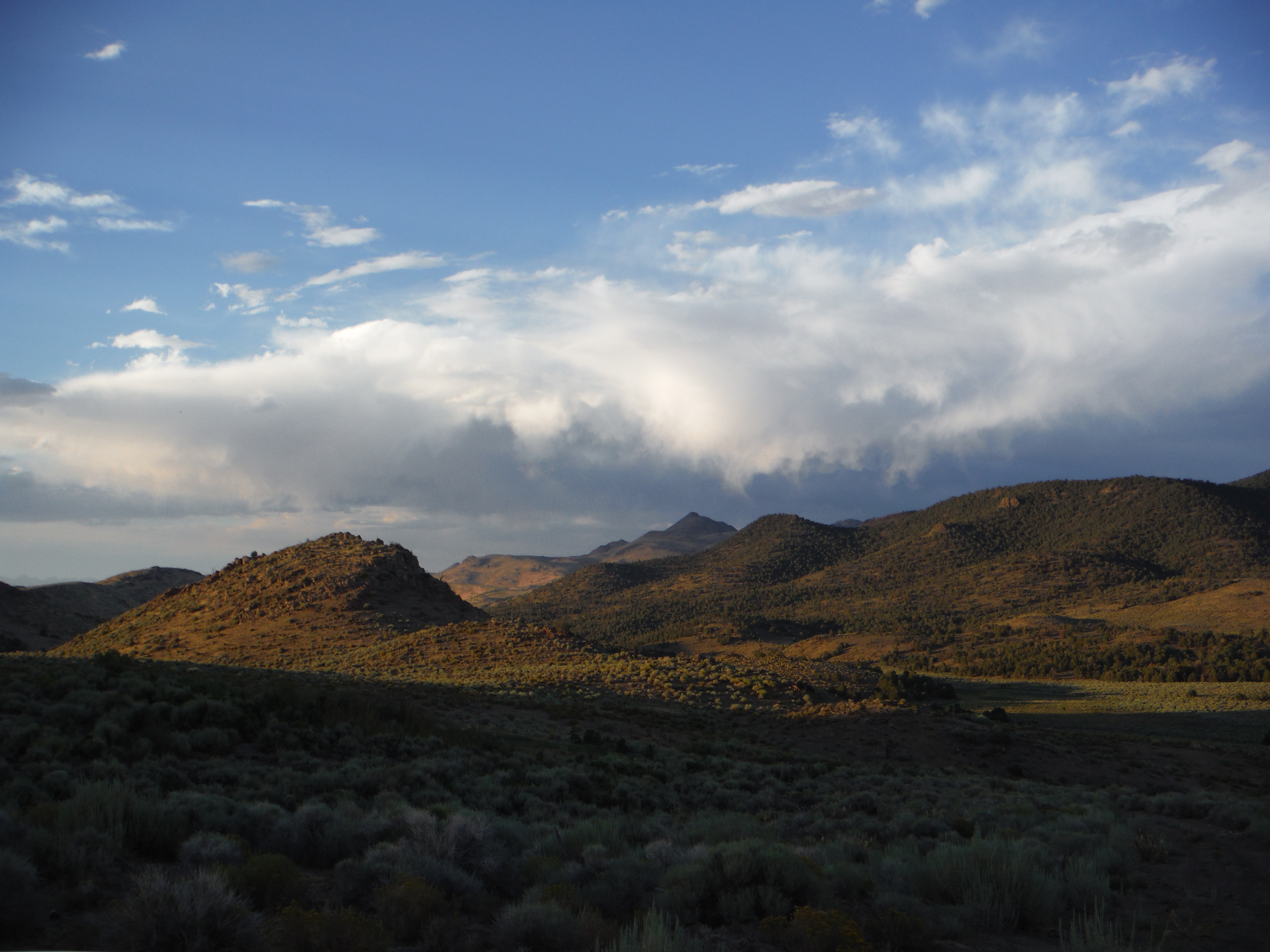 Simpson Park Wilderness Study Area - Friends of Nevada Wilderness