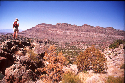 Big Rocks Wilderness - Friends of Nevada Wilderness