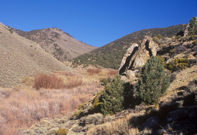 Boundary Peak Wilderness - Friends of Nevada Wilderness