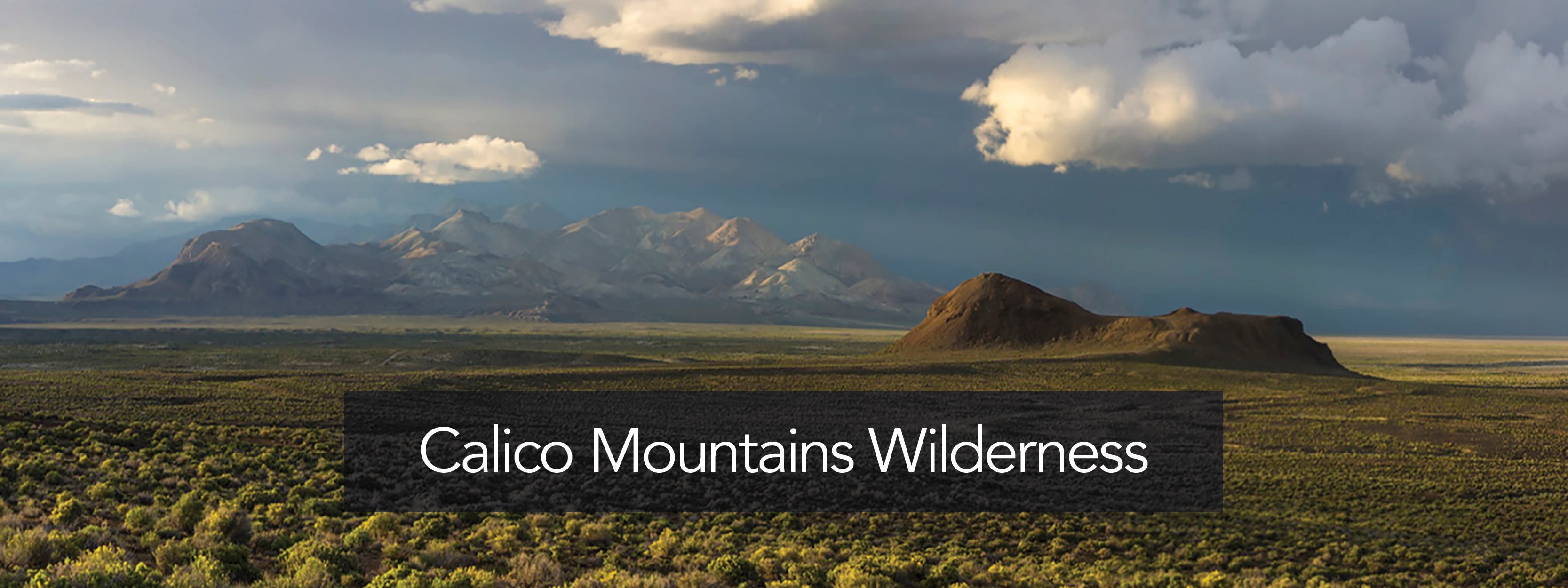 Calico Mountains Wilderness Plan Your Trip - Friends of Nevada Wilderness