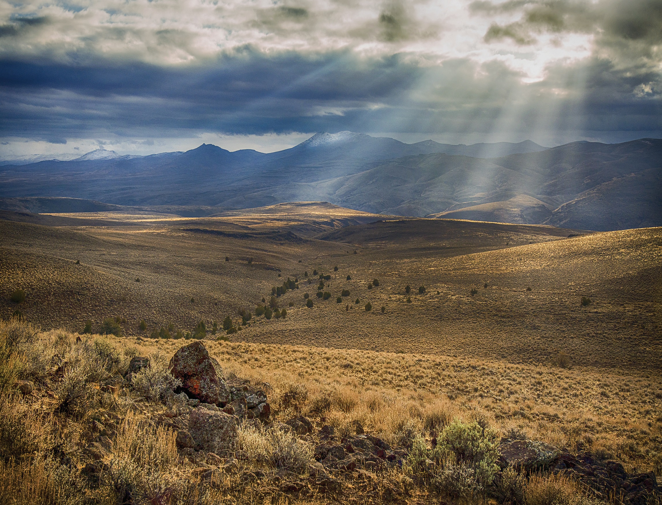Call for Photos: Wild NV Calendar - Friends of Nevada Wilderness