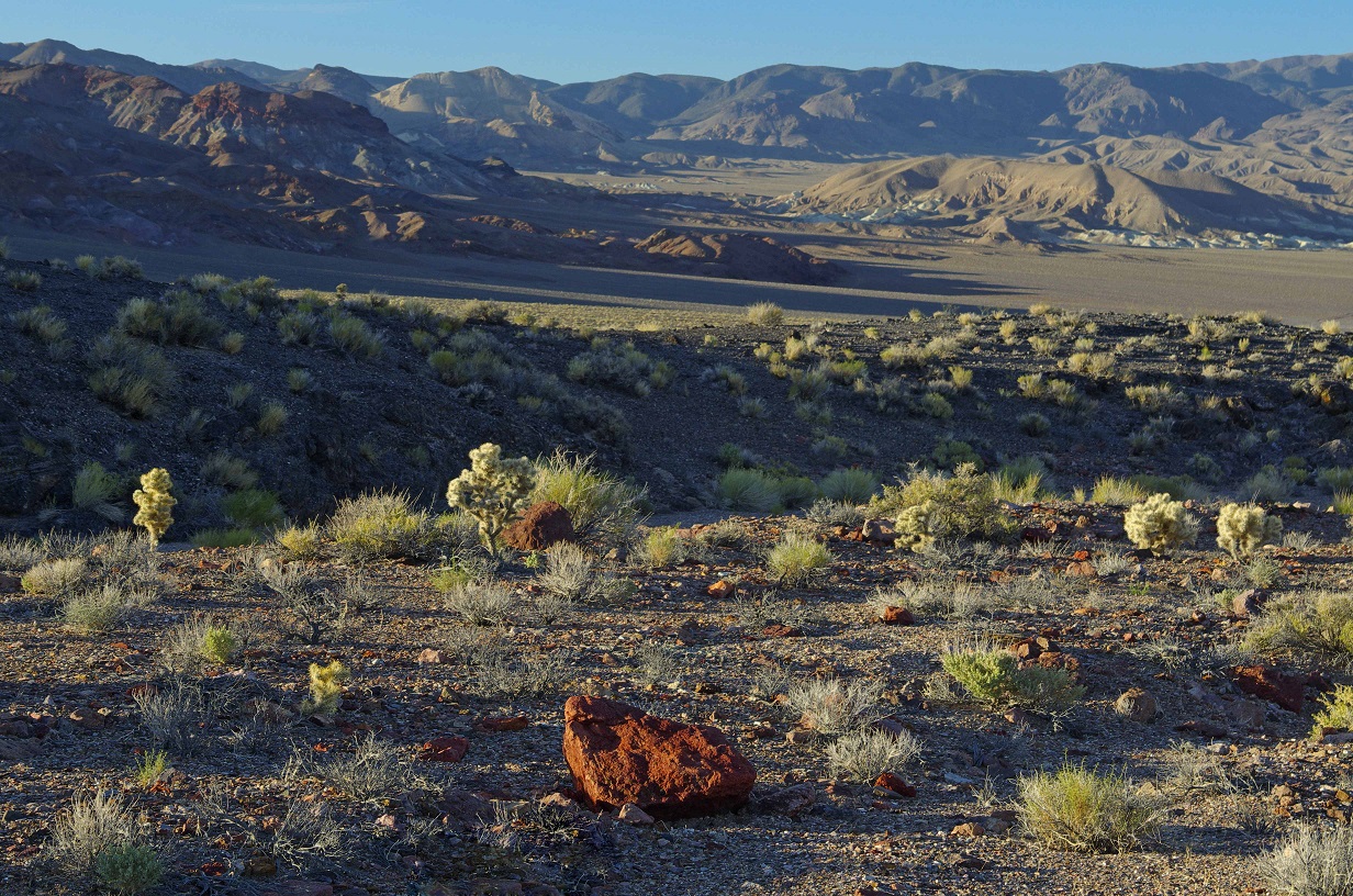 Emigrant Peak - Friends of Nevada Wilderness