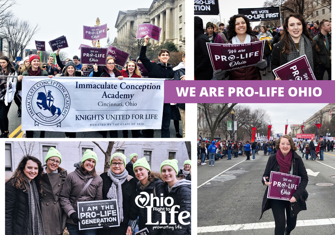This Week's Pro-Life Update! - Ohio Right to Life