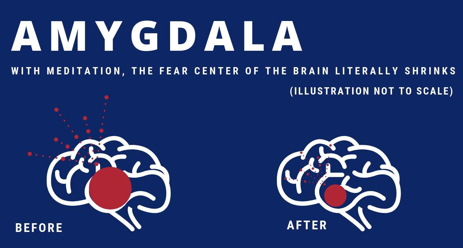 Psychiatric Service Dogs