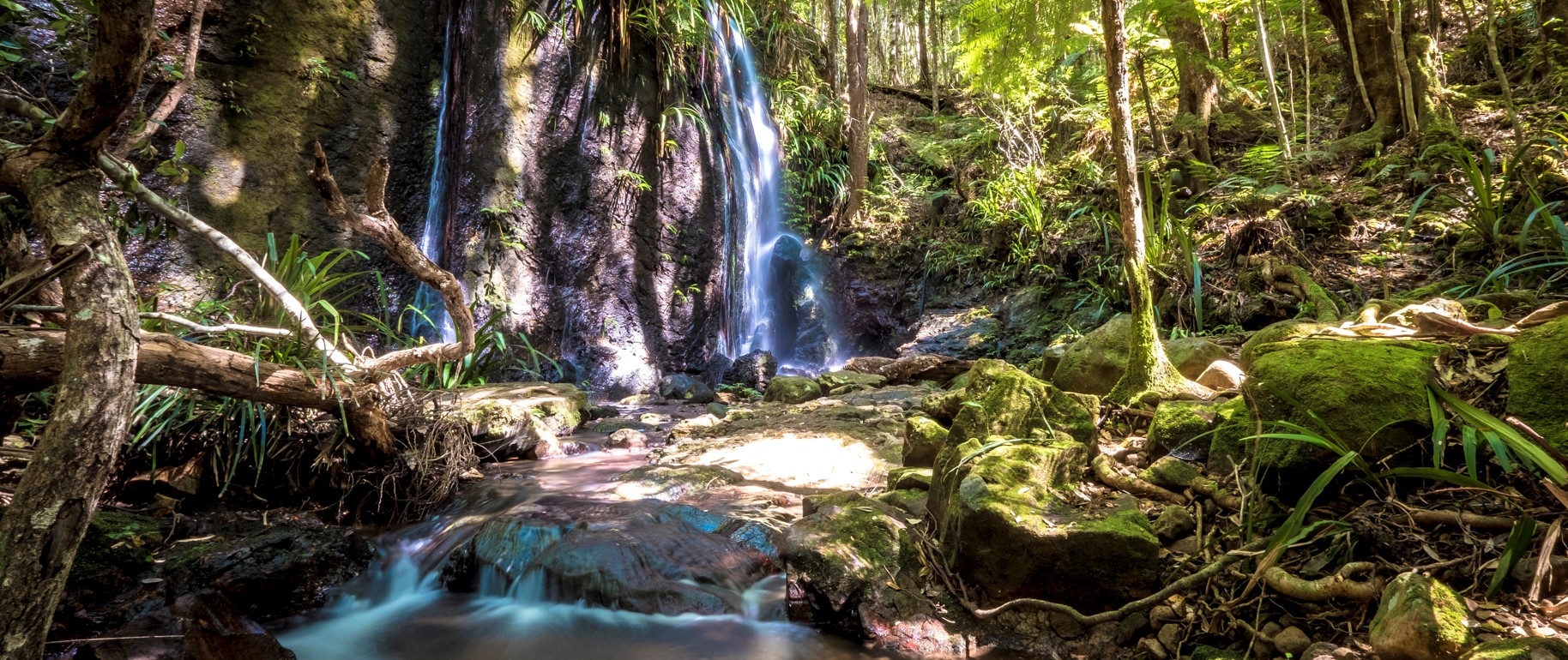 Environment Agenda for the next Queensland Government - Queensland ...