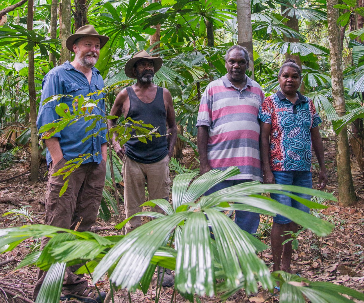 Daintree land buyback is a pathway to Reconciliation - Rainforest 4