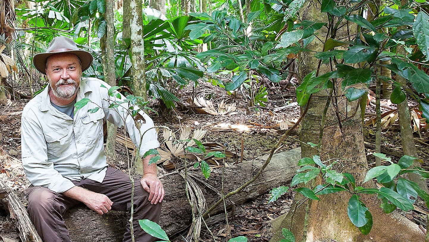 R4: Australia's new rainforest charity - Rainforest 4 Foundation