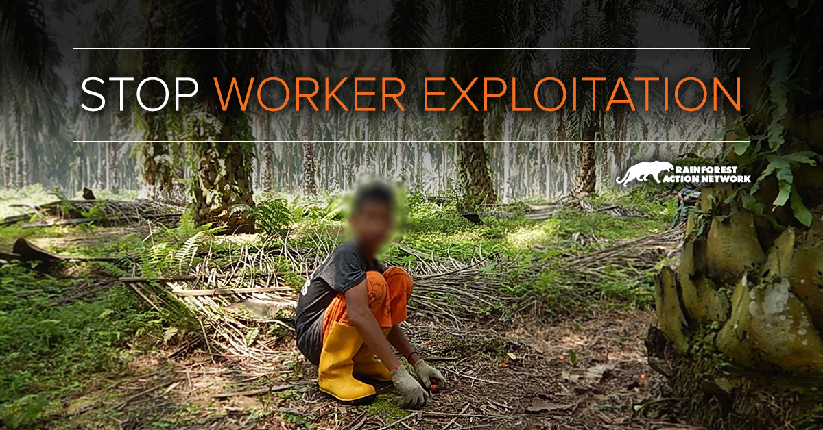 Tell PepsiCo: No Exploitation for Snack Food - Rainforest Action Network