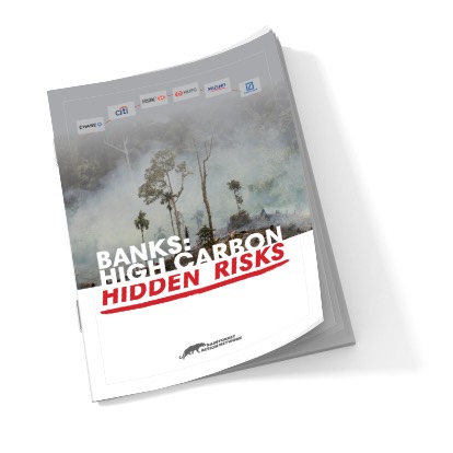 Publications - Rainforest Action Network