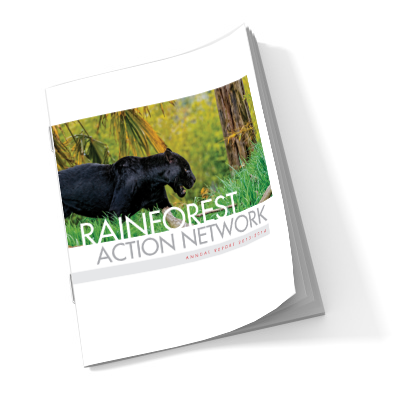Publications - Rainforest Action Network