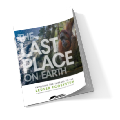 Publications - Rainforest Action Network