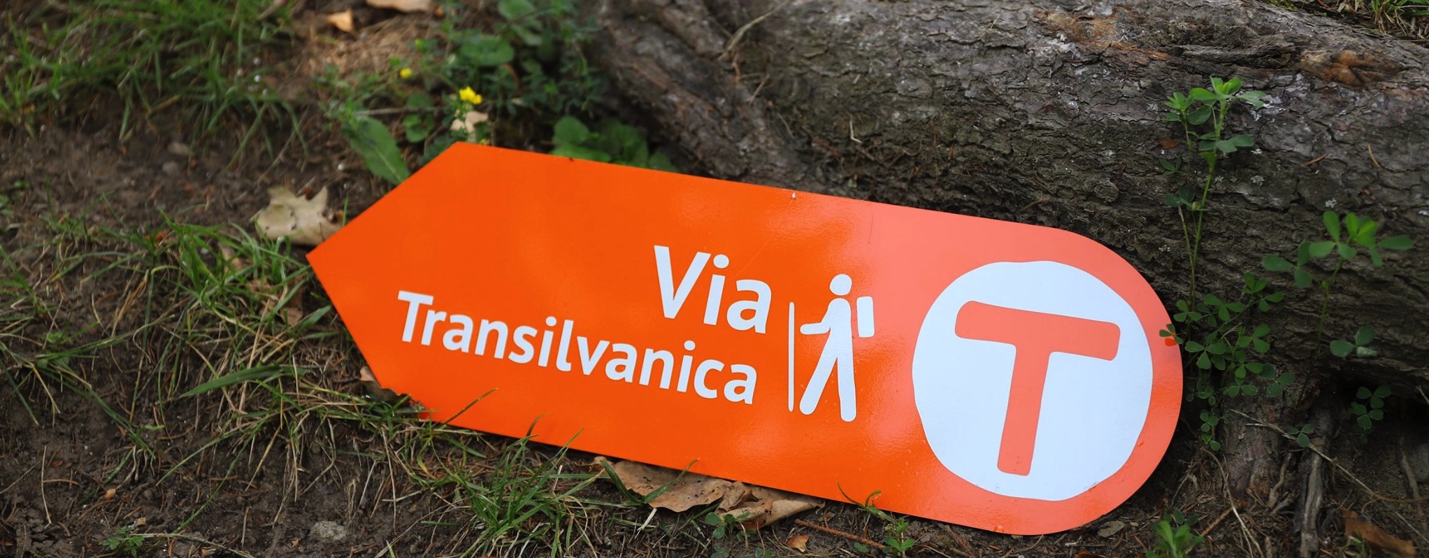 Romanian United Fund