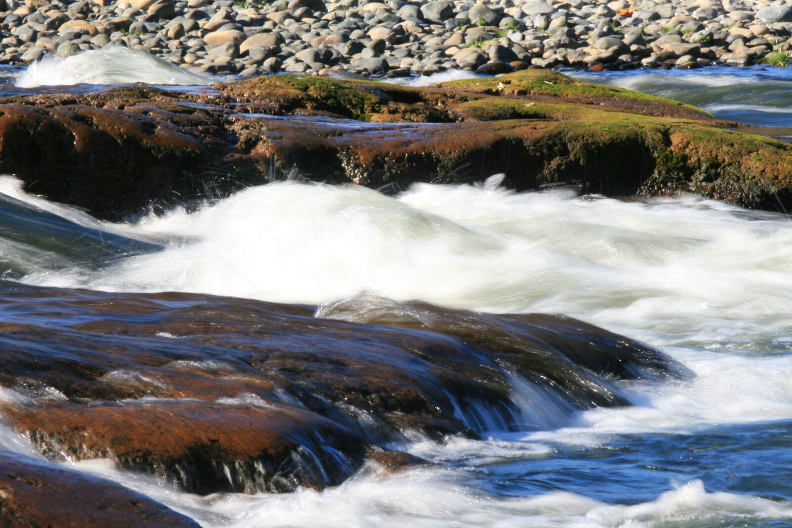 About Us - Save the American River Association