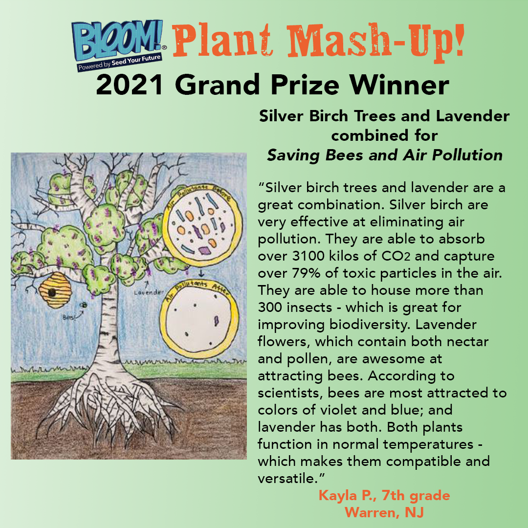 Plant Mash-up 2021 Contest Winners - Seed Your Future