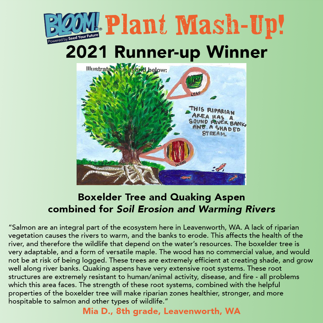 Plant Mash-up 2021 Contest Winners - Seed Your Future