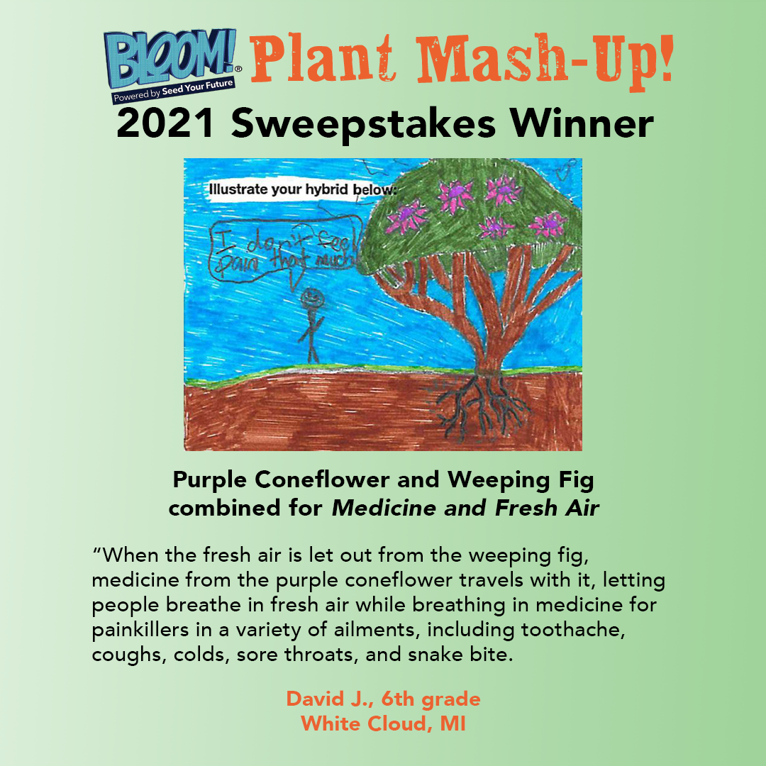 Plant Mash-up 2021 Contest Winners - Seed Your Future