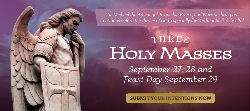 St Michael Day 1 - Catholic Action For Faith and Family