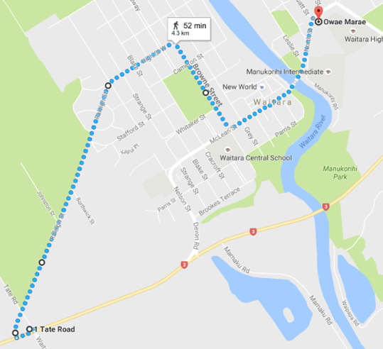 Peace for Pekapeka Hikoi 2016