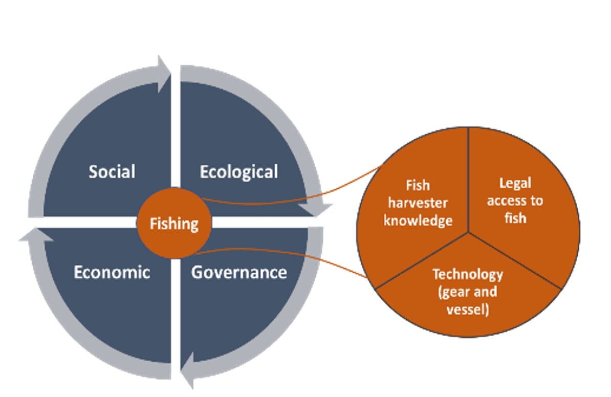 Definition and Framework - T Buck Suzuki Foundation