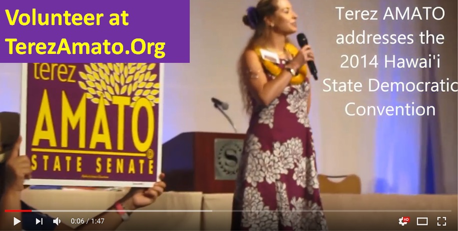 VIDEOS - Friends of Terez Amato