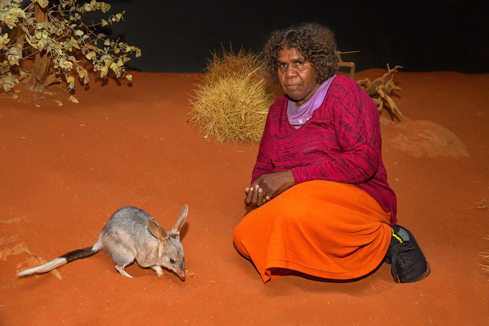 Resurrection of iconic Easter Bilby - Country Needs People