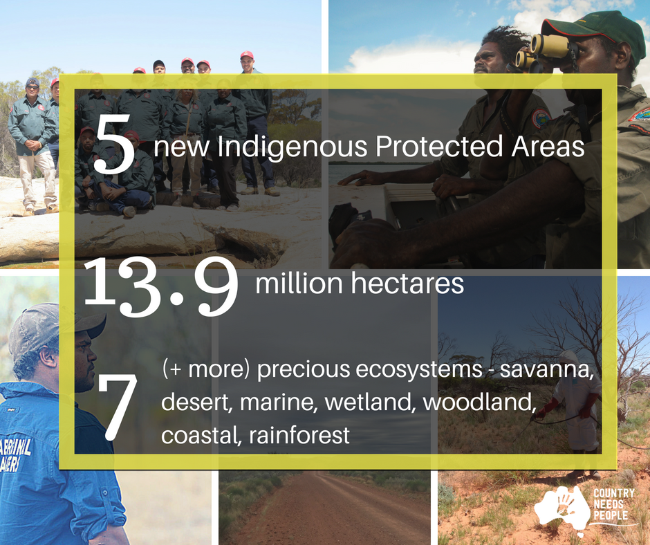 Five NEW Indigenous Protected Areas announced - Country Needs People