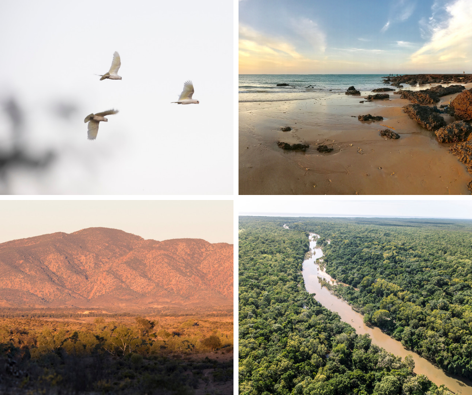 Five reasons Indigenous Protected Areas are a world leader... and why ...