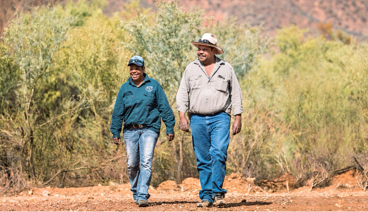 Country Needs People Highlights of 2020 - Country Needs People