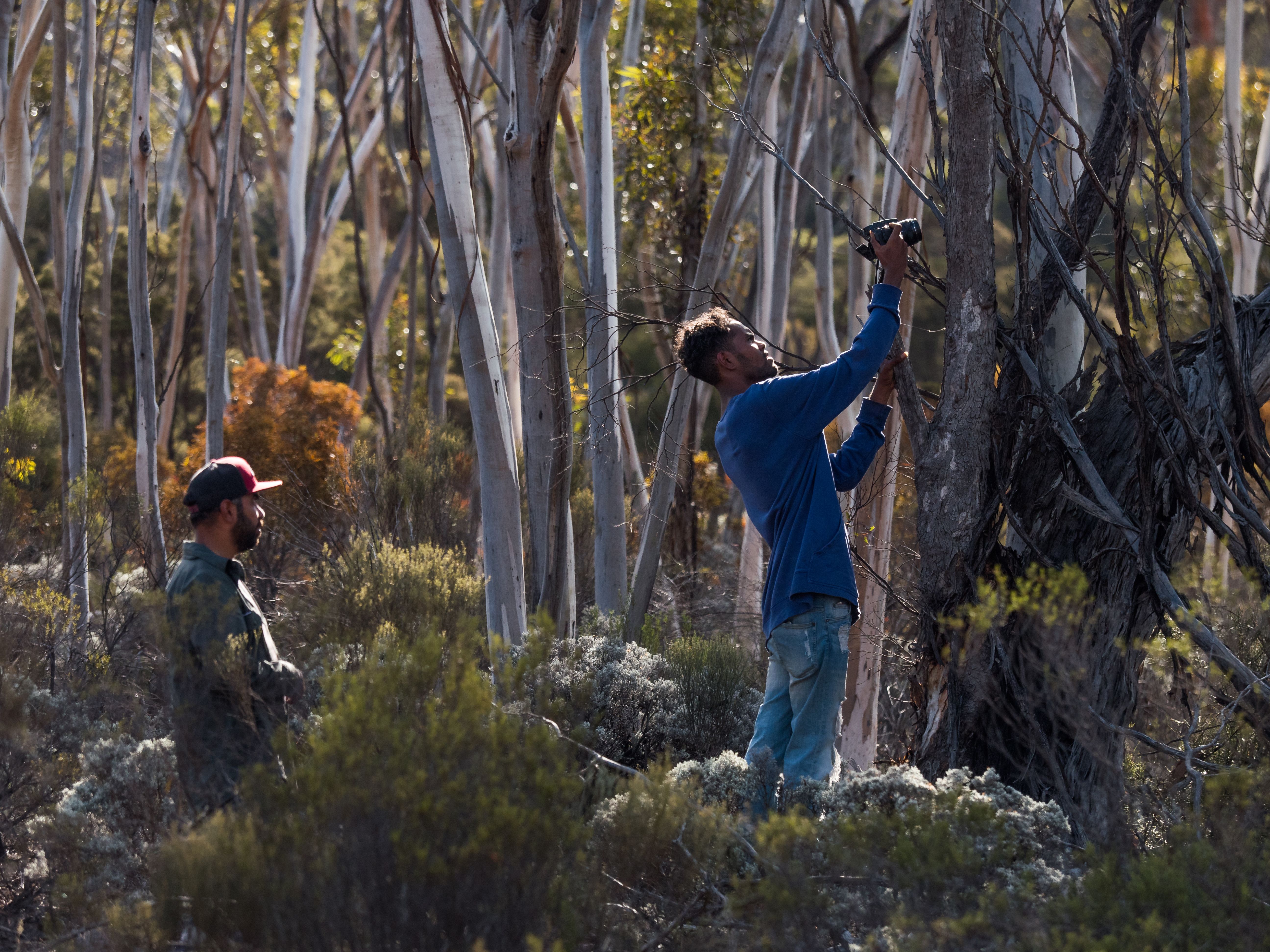 The New Ngadju Indigenous Protected Area Came From a Lot of Hard Work ...