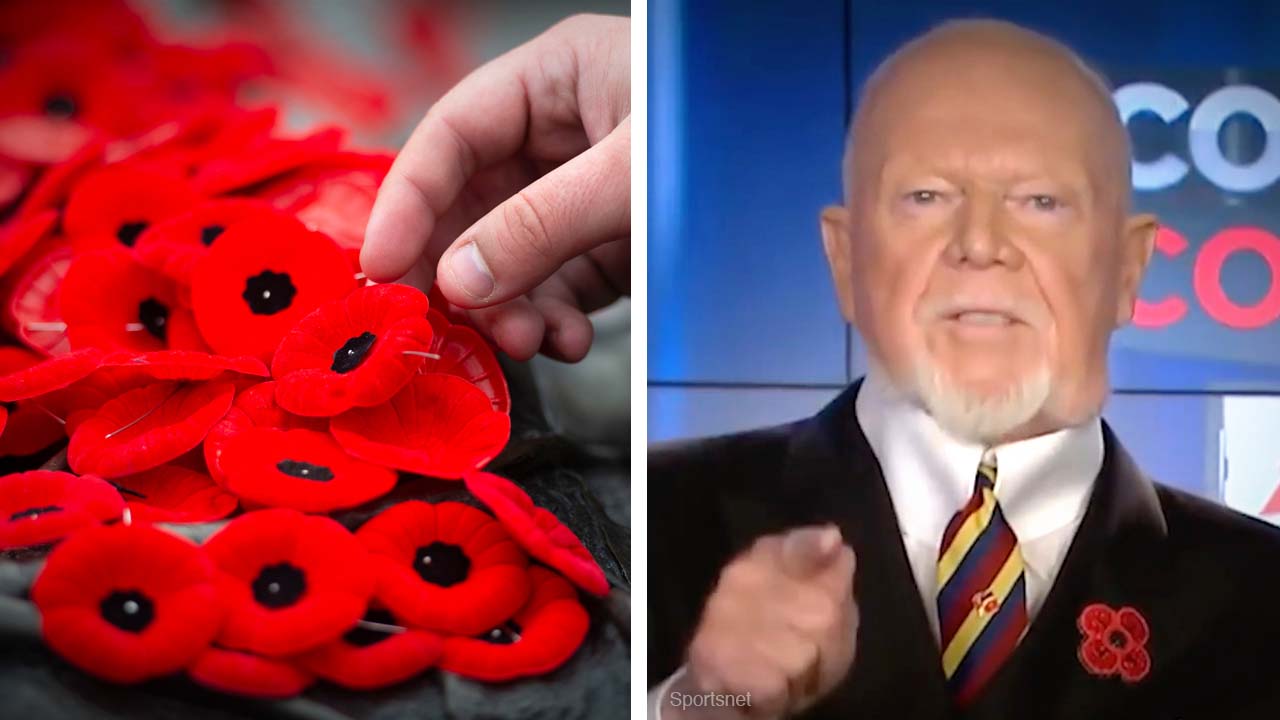 Don Cherry fired for poppy rant: Woke lefties think supporting veterans ...