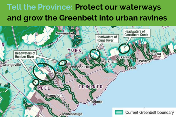 Show Your Support for Greenbelt Ravine Protection - Toronto ...