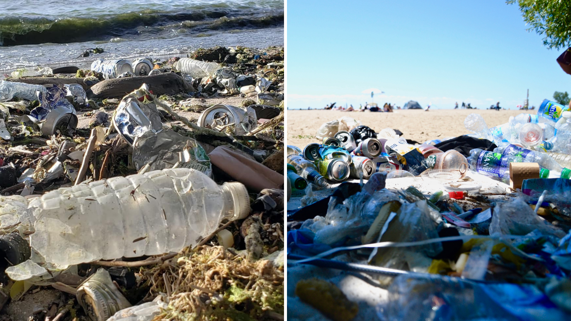 Participating in a Community Clean Up? Use it as an opportunity to help ...