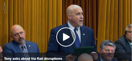 News - Tony Baldinelli, MP