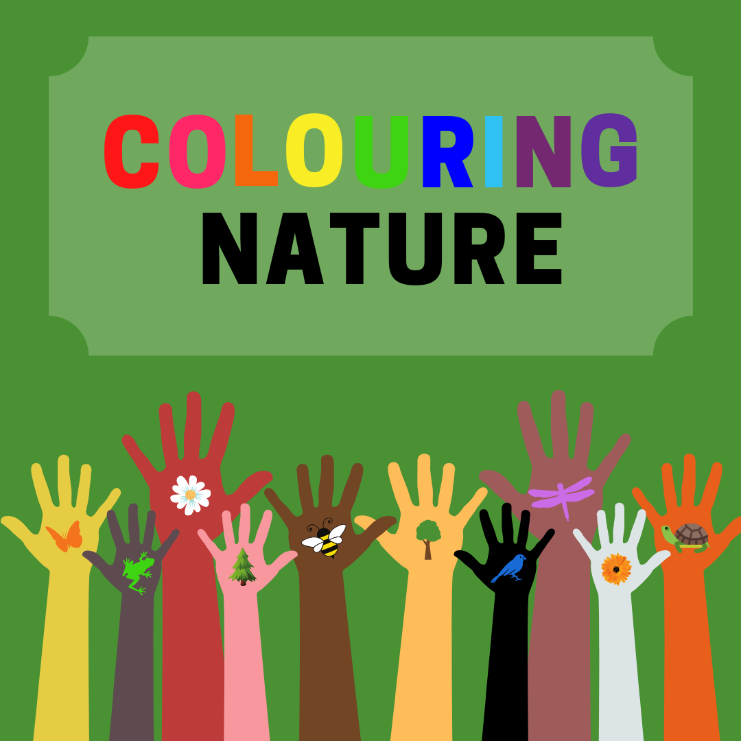 Colouring Nature - Thames Talbot Land Trust