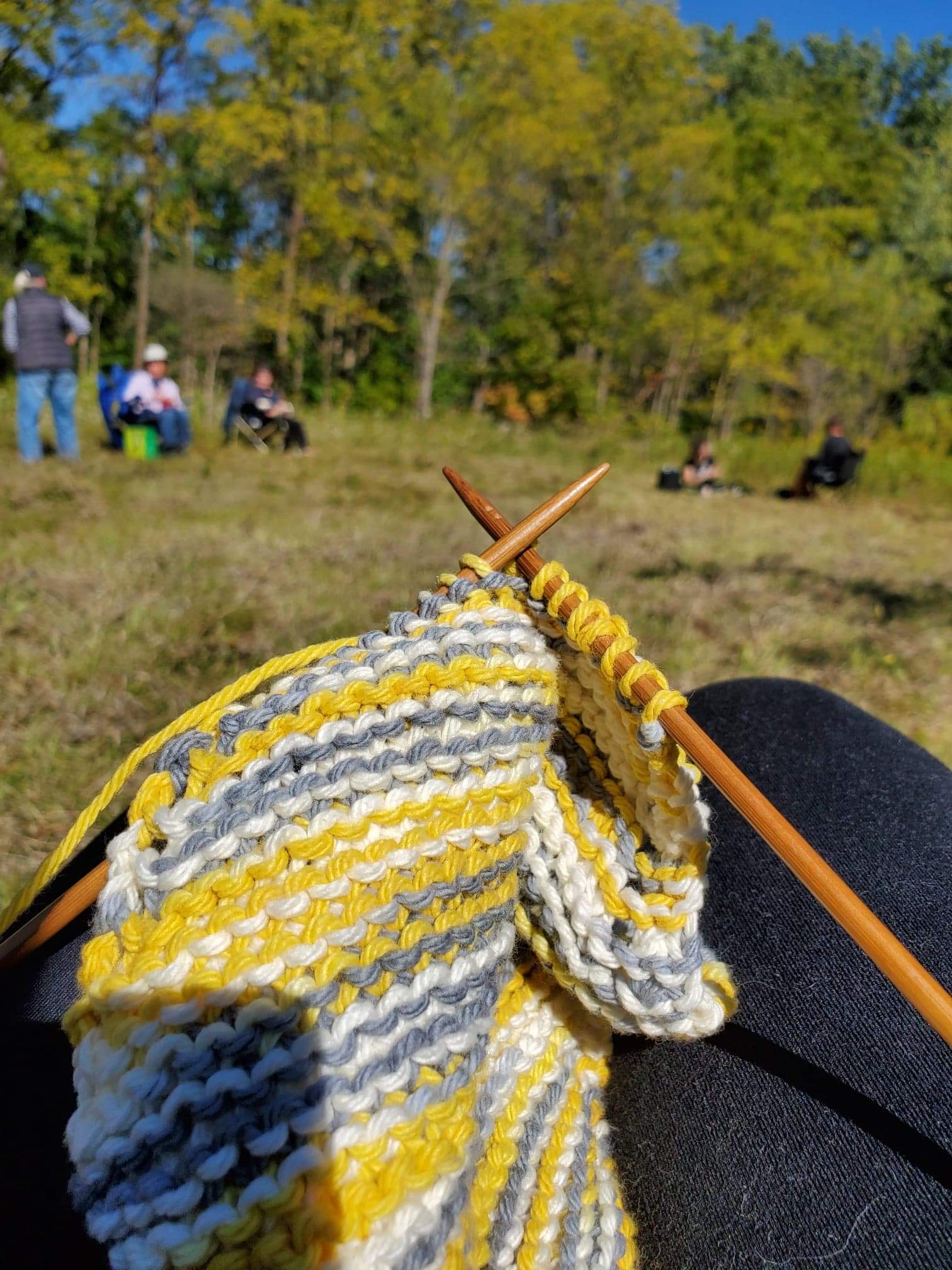 Passport to Nature: Knitting in Nature - Thames Talbot Land Trust