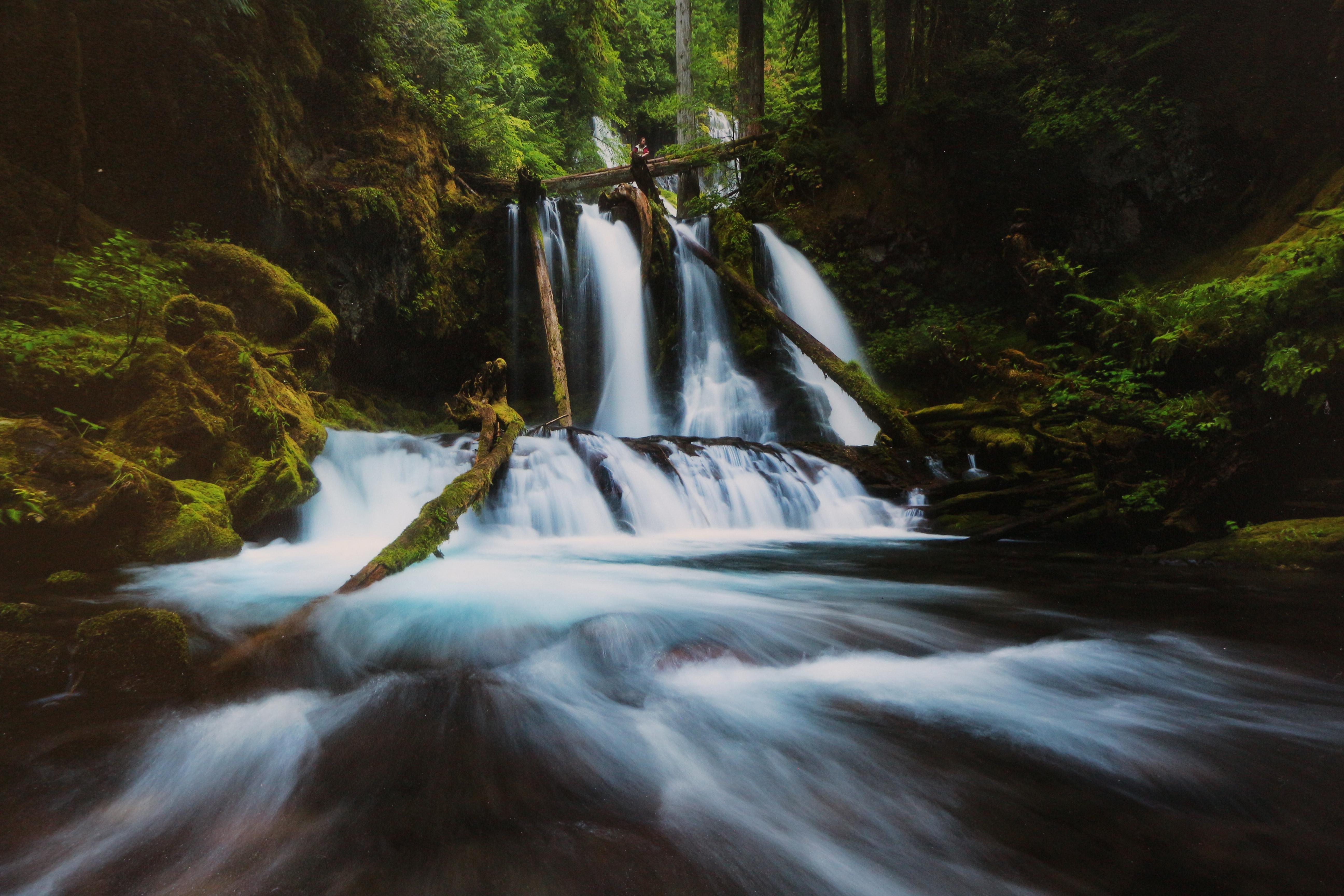 STUDENT PHOTO CONTESTS PRE2018 - Hillel at UCLA