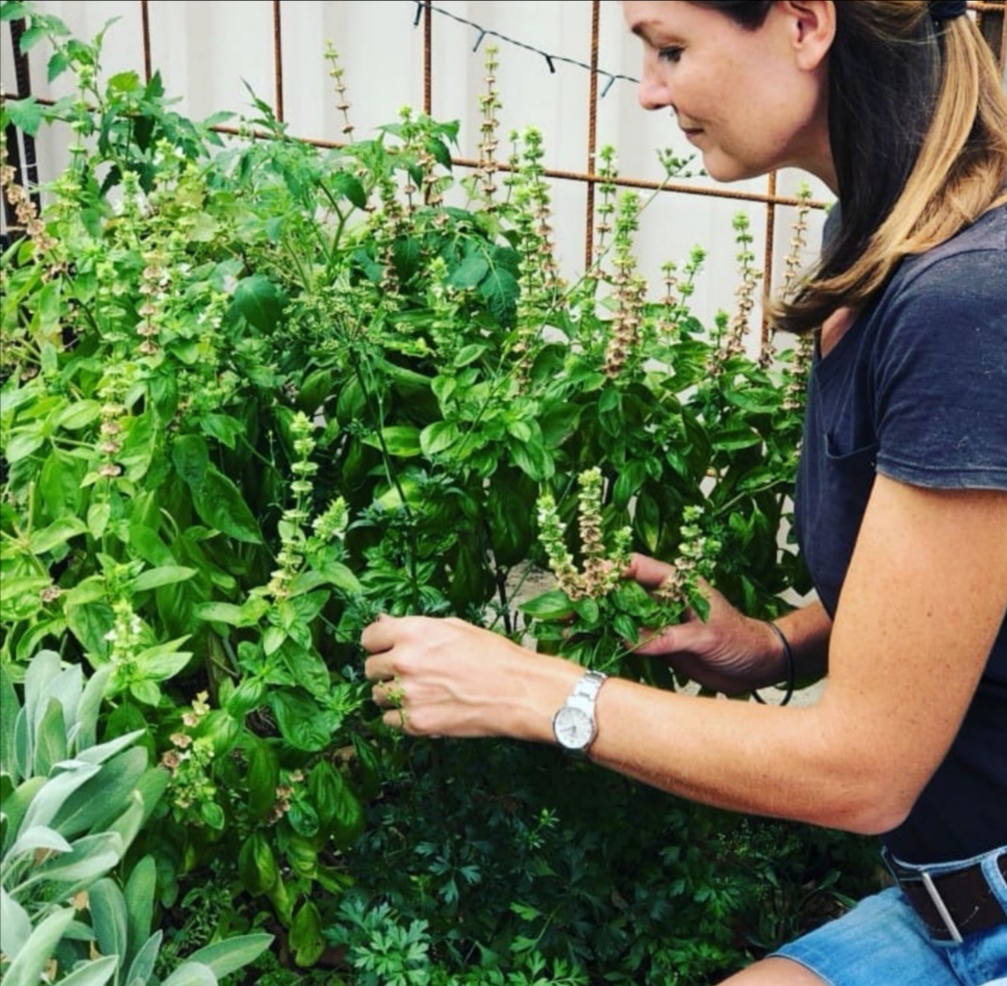 Little Bee and Me - Native Bee Workshop - The Wilderness Society