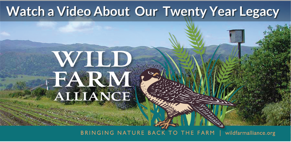 Welcome to Wild Farm Alliance
